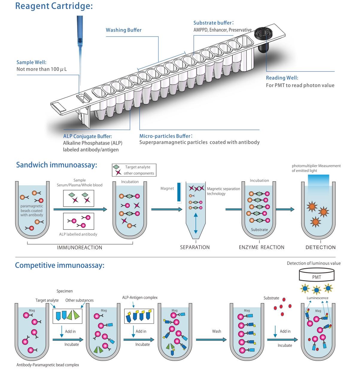Advanced Mini-CLIA Hormone Assay Solutions for Precise Tumor Marker ...